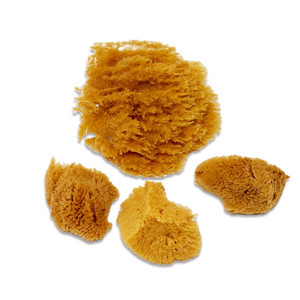 SILK SPONGE SET (3)
